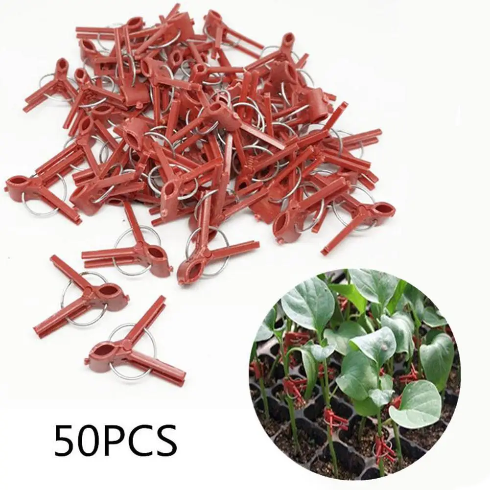 Tuteur Plante,Clips pour plantes en plastique,50 pièces,raccords de ...