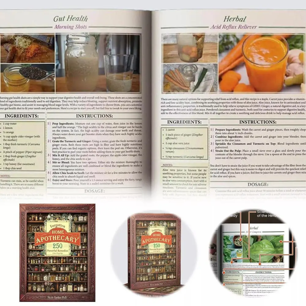 New 250 Forgotten Home Apothecary Natural Educational Home Remedies ...