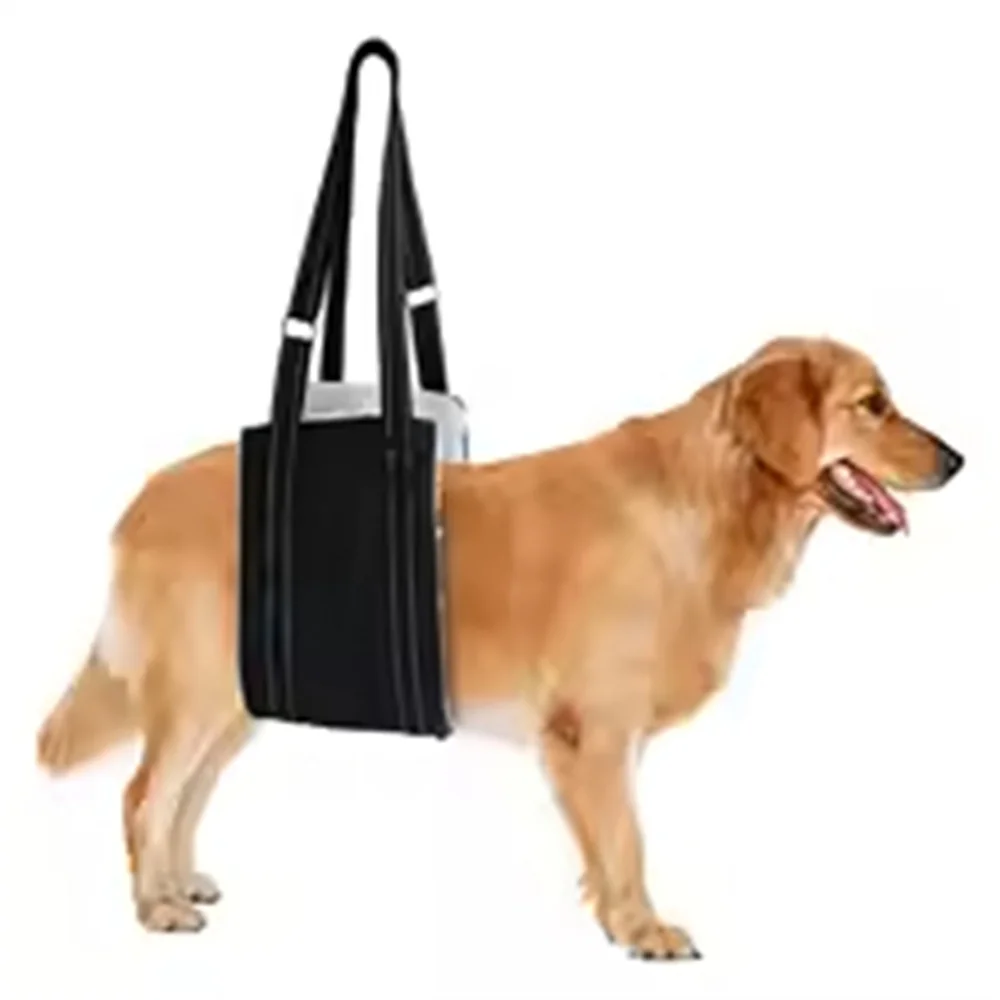 Dog Leg Gearbox: The Ultimate Support Solution for Aging and Mobility ...