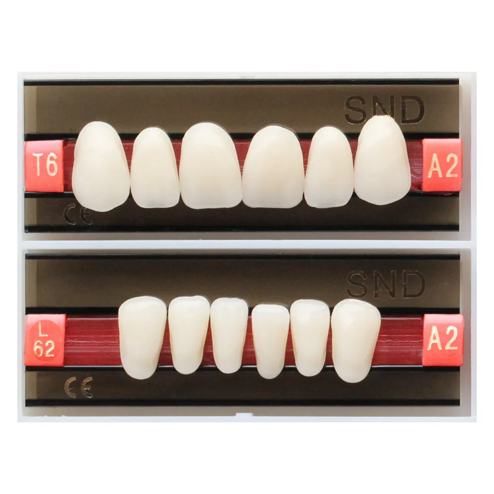 A2-Shade-Dental-Satural-2-Layer-Synthetic-Resin-Polymer-Denture ...