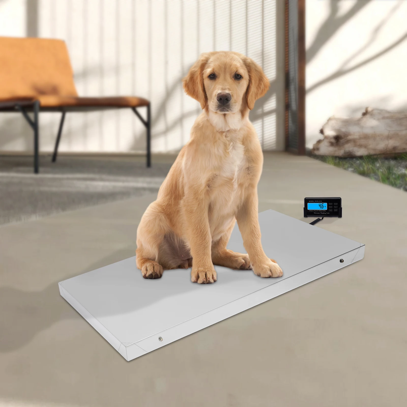 Pet-Scales-Digital-Veterinary-300-kg-Stainless-Steel-Large-Robust ...