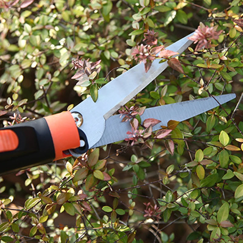 Extended Grass Shears