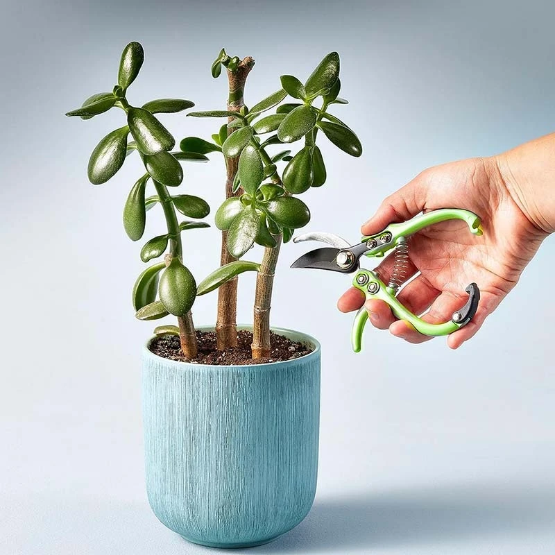 1pc Mini Elbow Gardening Scissors Fruit Picking Scissors Branch ...