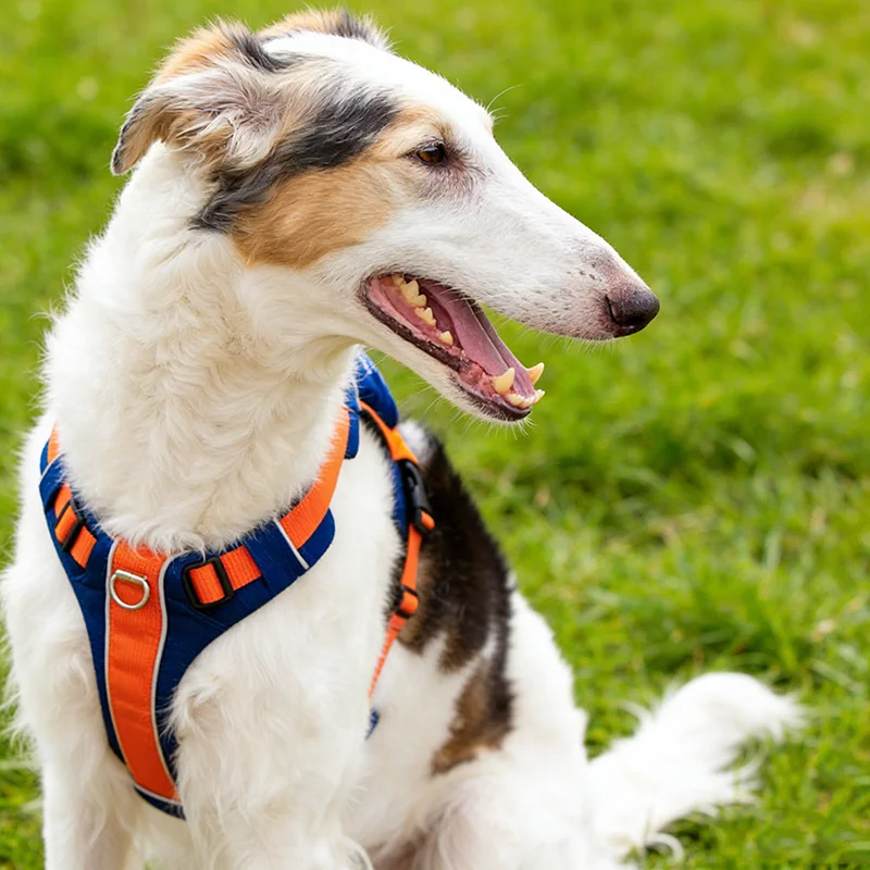 Adjustable Pet Vest Style Dog Chest Strap Harness Large Dog Chest and ...