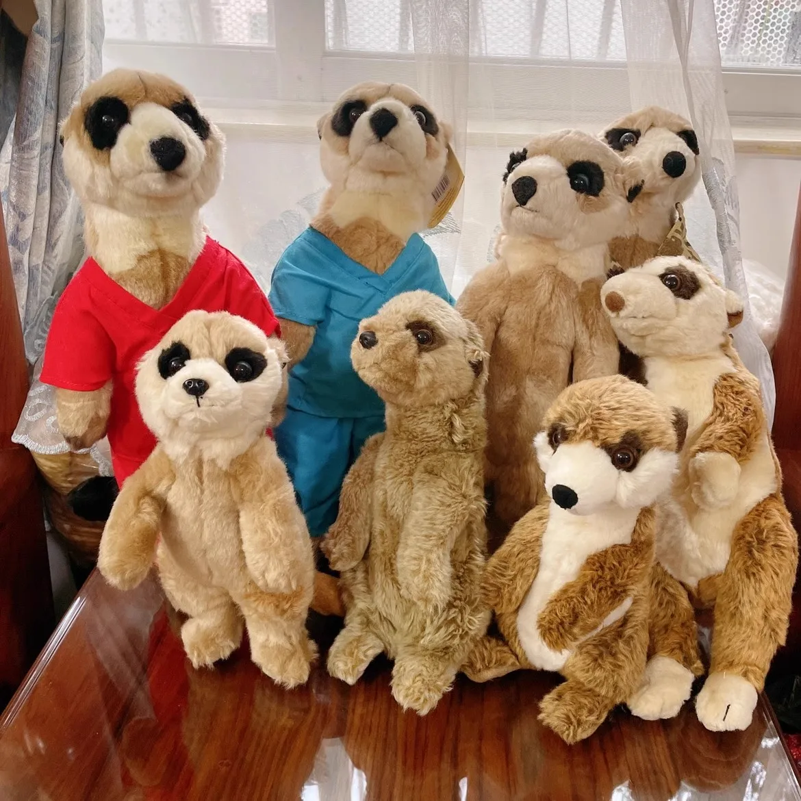 Simulated-Animal-Meerkat-Suricate-Suricata-Suricatta-Wild-Nature-Dress ...