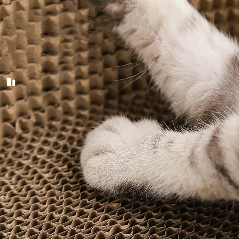 Emery Board For Cats