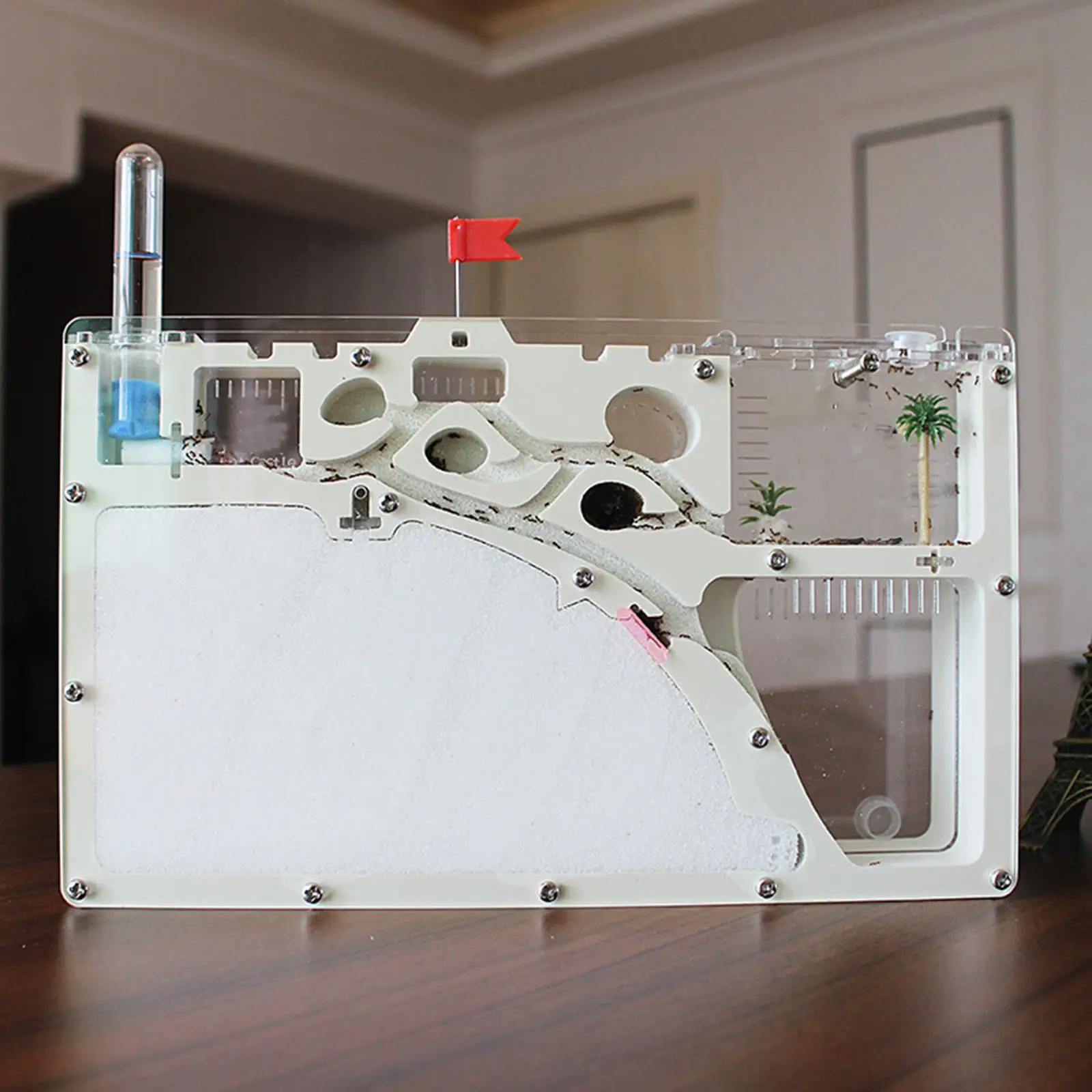 Emmet Farm Acrylic Box Antkeeping Tool Anthill Castle Scientific ...