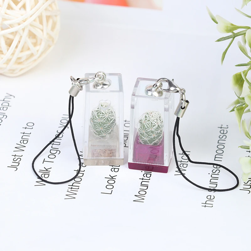 Succulent Plant Gift Cactus | Pendant Succulent Plant - Wind Chimes ...