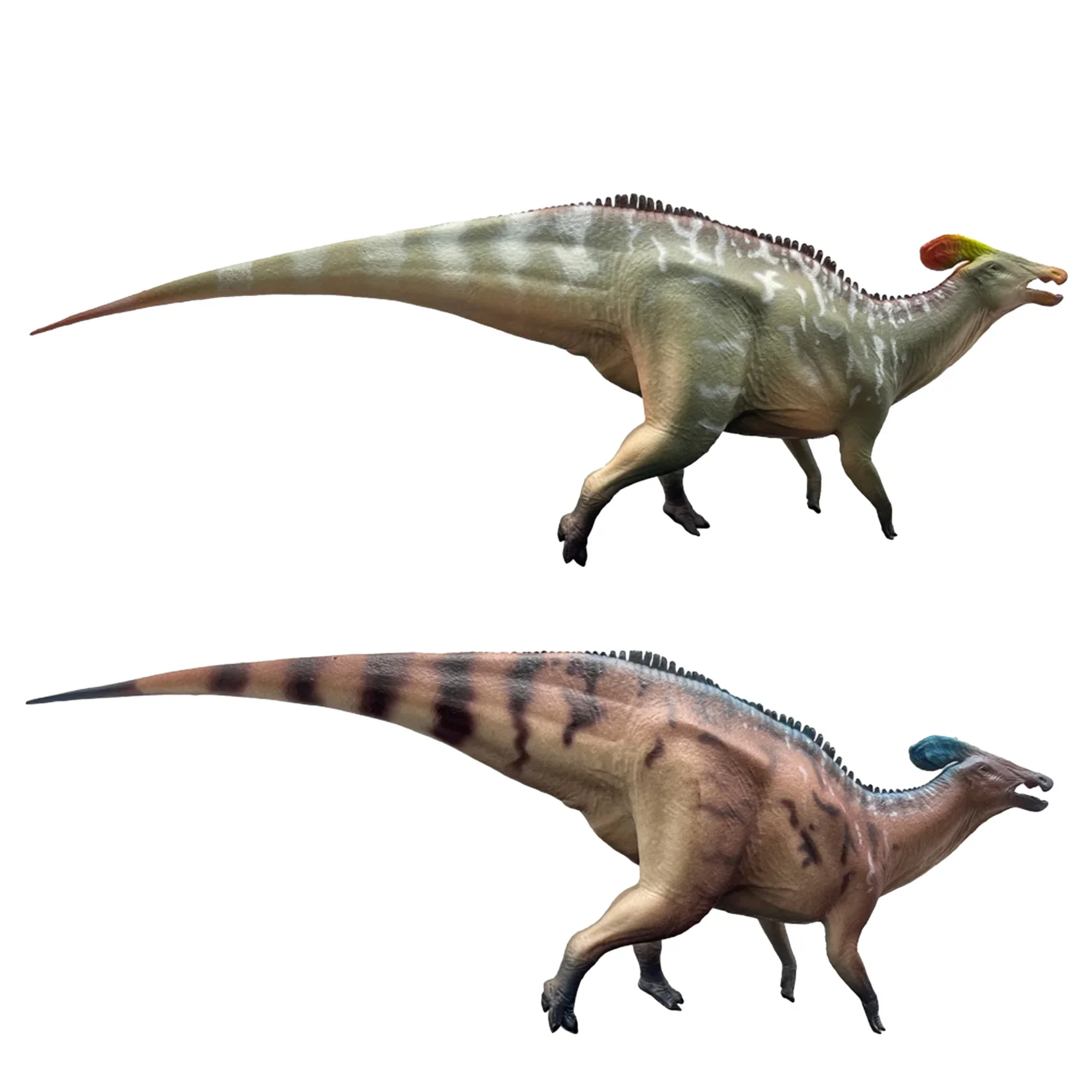 HAOLONGGOOD-1-35-Tlatolophus-galorum-Model-Parasaurolophus-Dinosaur ...