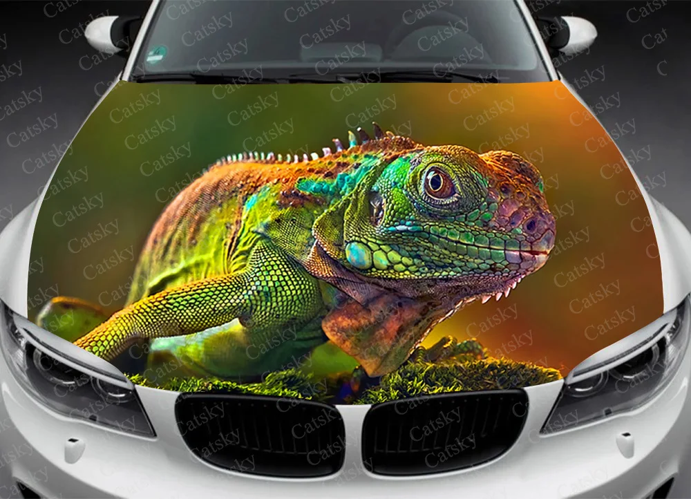 Lizard Car