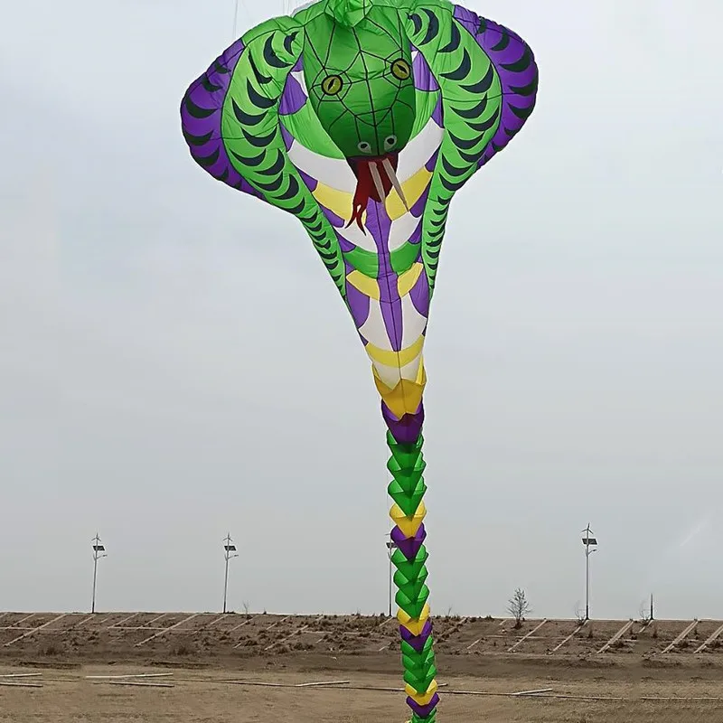 Free-shipping-20m-large-snake-kites-flying-pipa-brasileira-dragon-kite ...