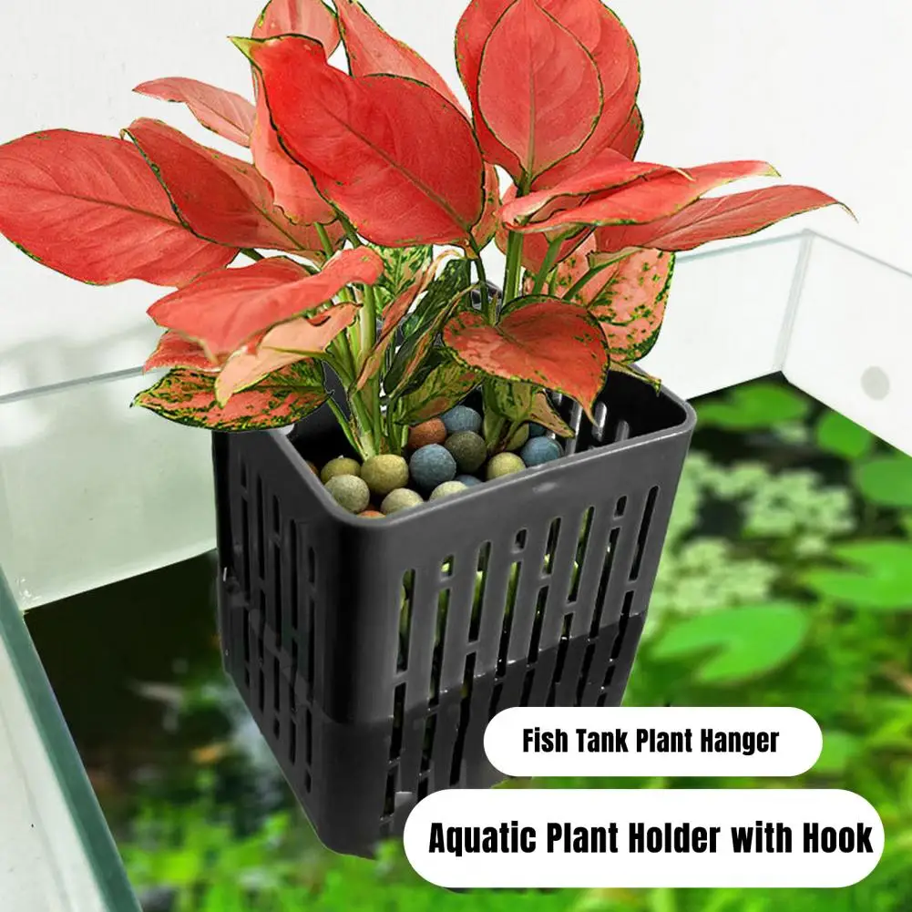 Hanging Aquarium Plant Holder Hydroponic Basket Hanging Fish Tank ...
