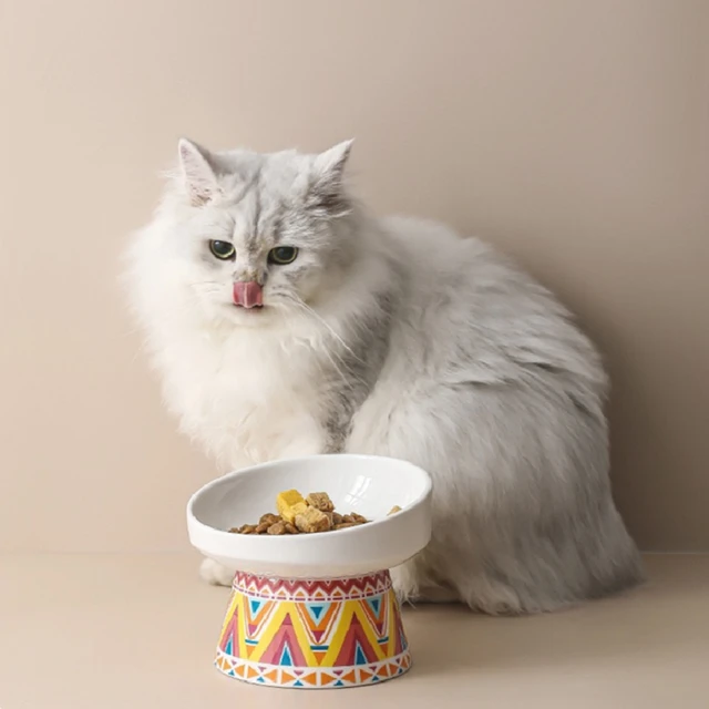 Chinese Cat Dishes