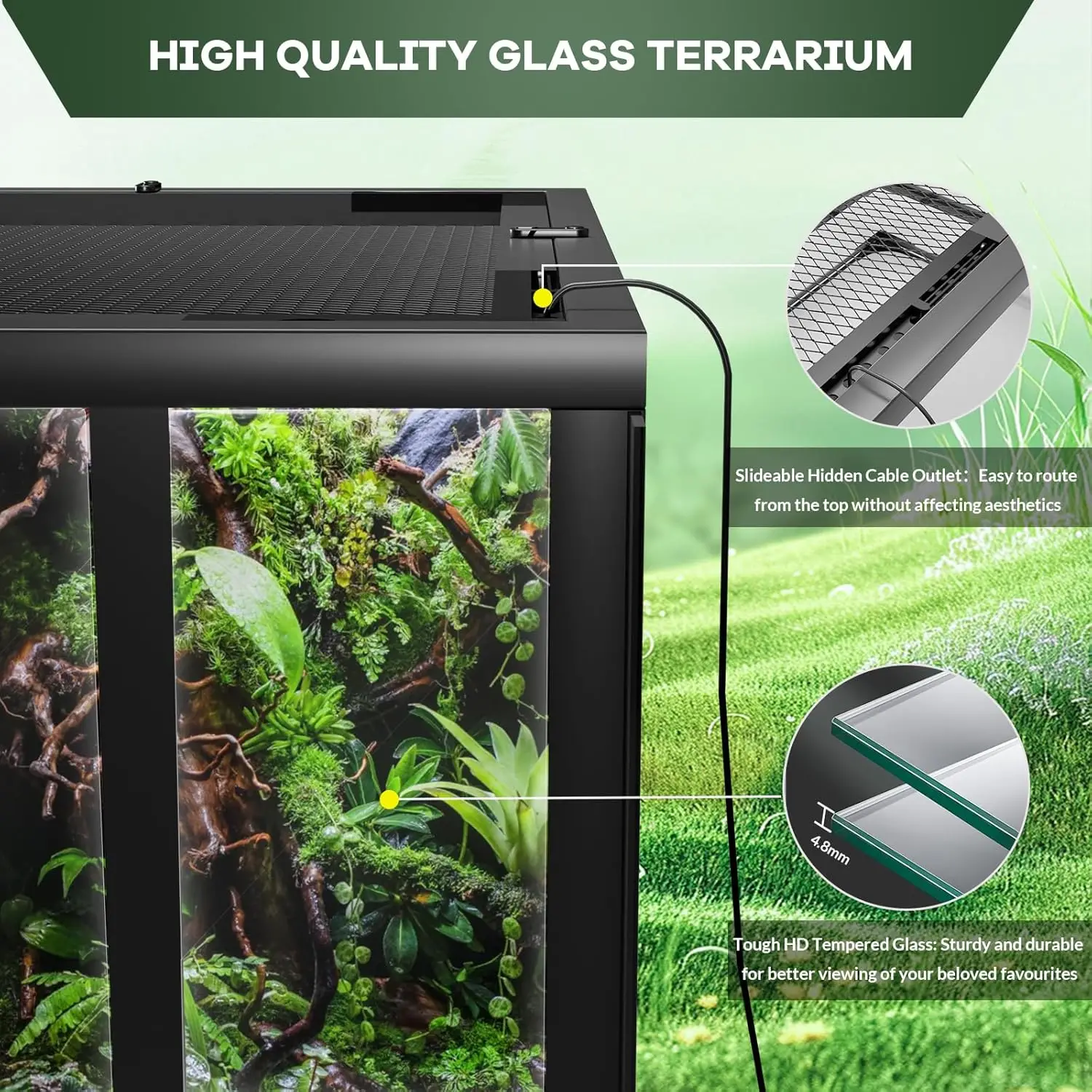 Glass Terrarium – Pet Planets Store