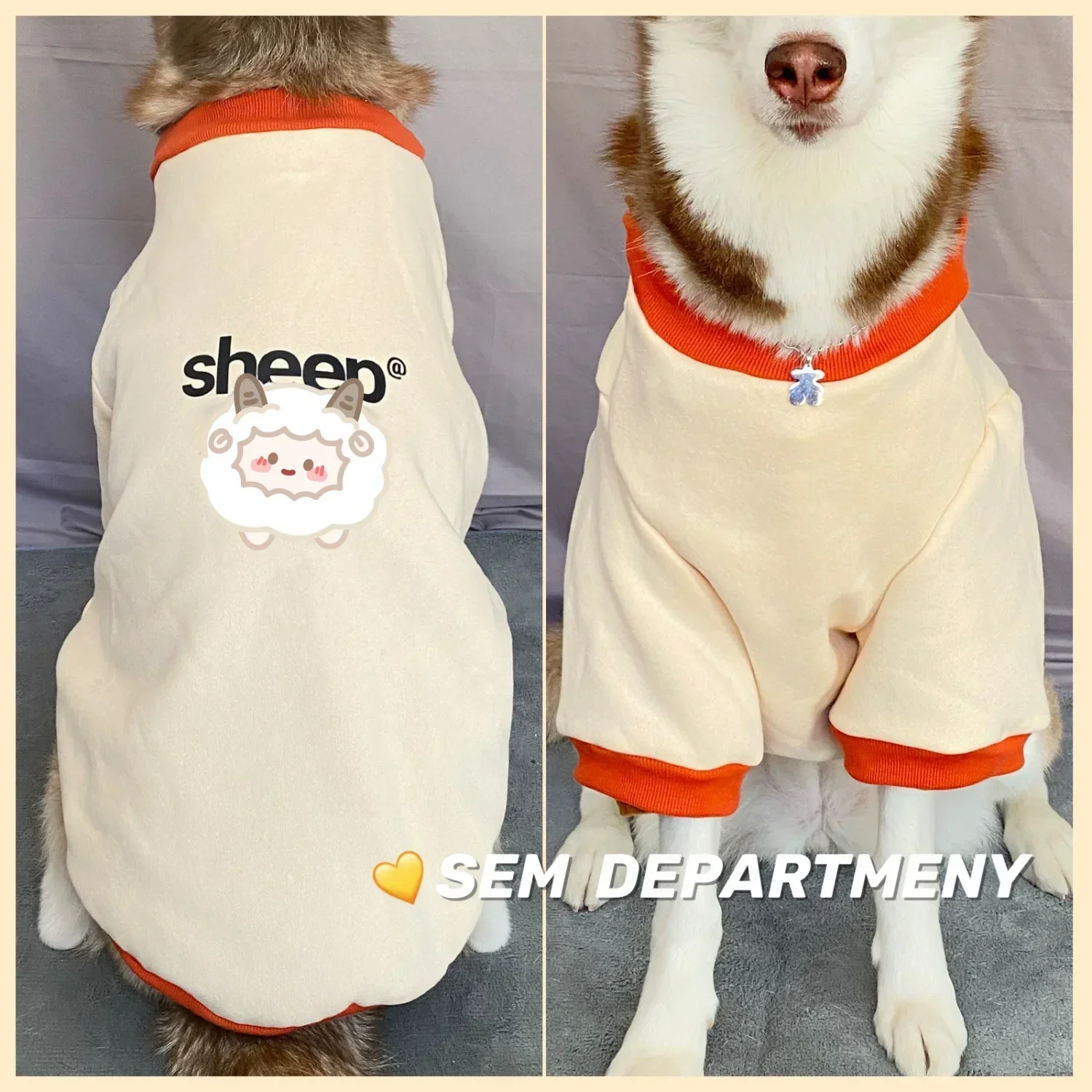 Large-Dogs-Alaskan-Golden-Brimming-Samoyed-Velvet-Warm-Pet-Clothing ...