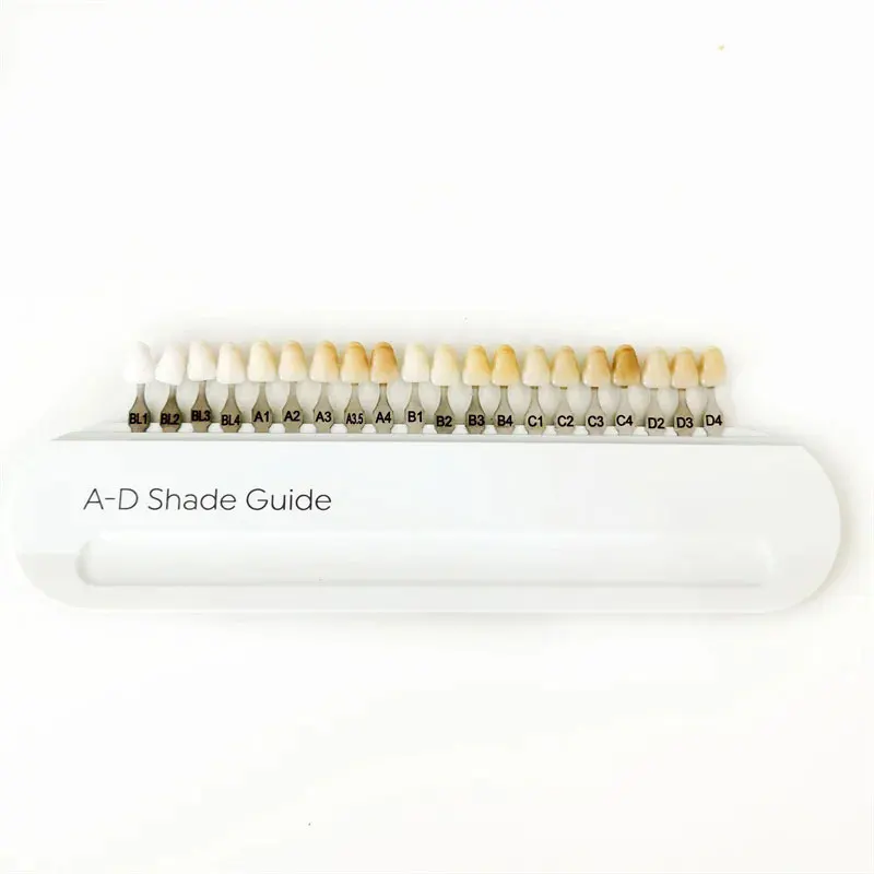 Dentes-dent-rios-AD-Shade-Guide-Ivoclar-Vivadent-Porcelana-Material ...