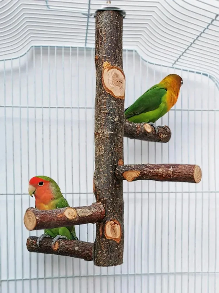 Pet-Parrot-Bird-Standing-Stick-Wood-Pole-Bird-Cockatiel-Parakeet ...