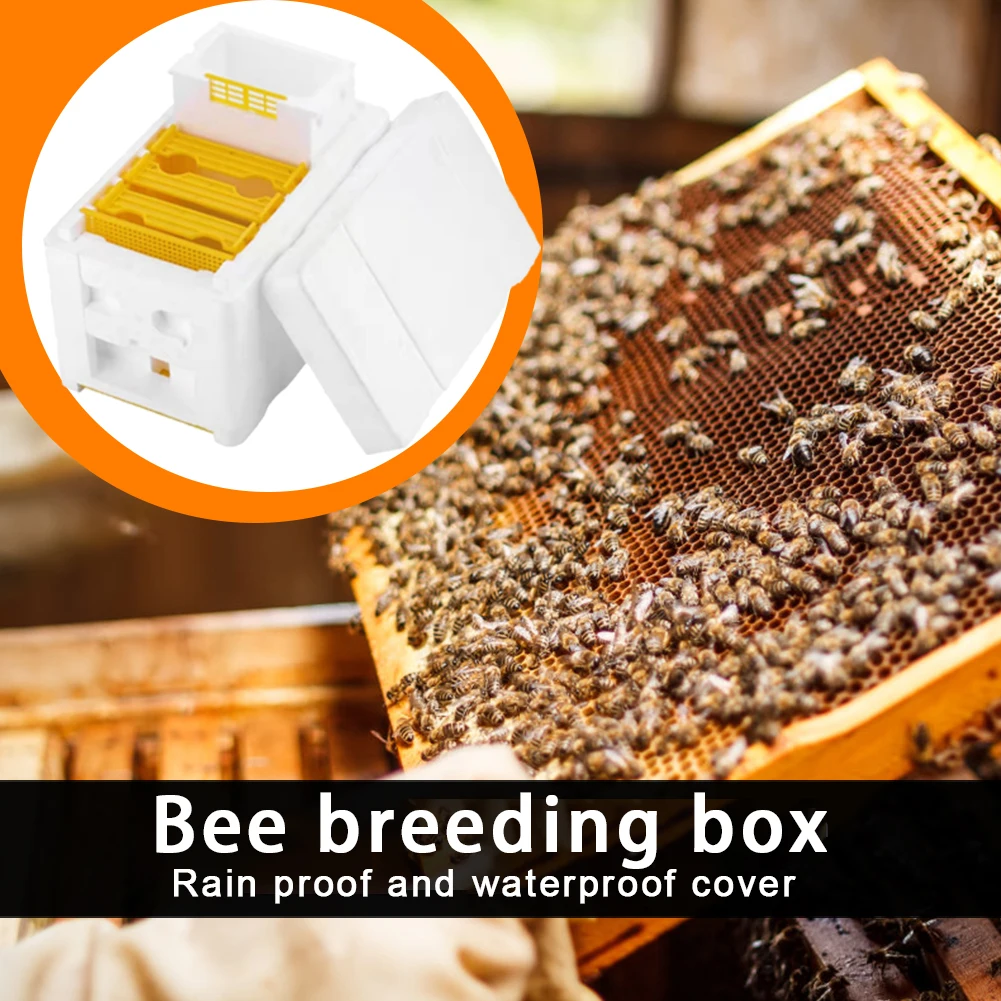 1-2Set-Beehive-Beekeeping-King-Box-Foam-Home-Bee-Hive-Pollination-Boxes ...