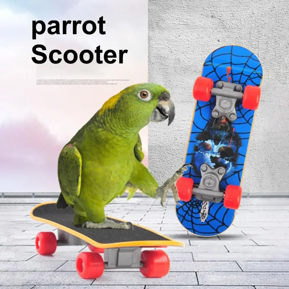 Parrot-Scooter-Flexible-Wheel-Mini-Skateboard-Parrot-Toy-Set-for ...