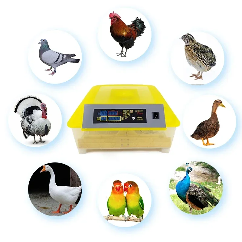 Incubadora-autom-tica-de-48-huevos-m-quina-de-incubaci-n-de-aves-de ...