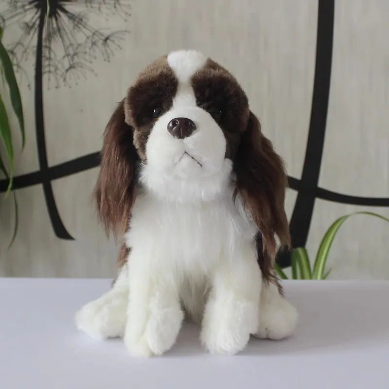 Toy King Charles Spaniel