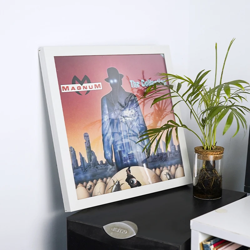 Album Display Frame