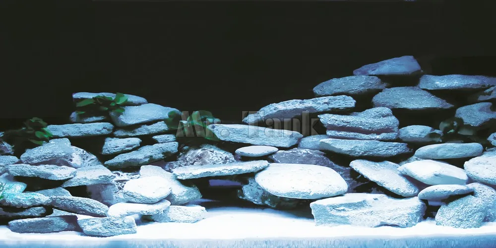Rock Aquarium Setup