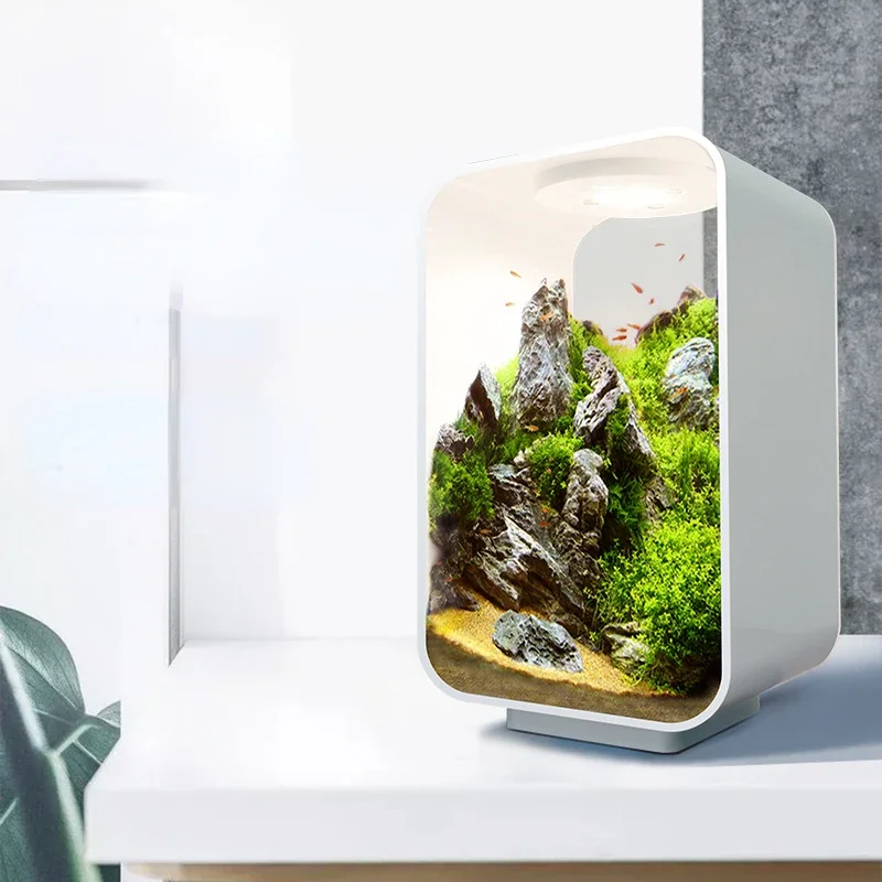 Smart Betta mini acrylic Betta fish tank small ecological golden fish ...
