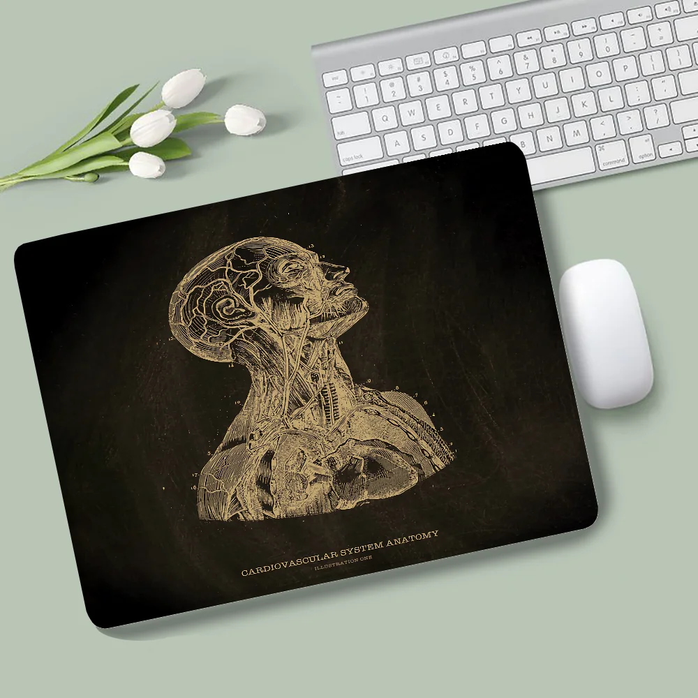 Small-Mouse-Pad-Anatomical-Skeleton-Mouspad-Mausepad-Computer-Mousepad ...