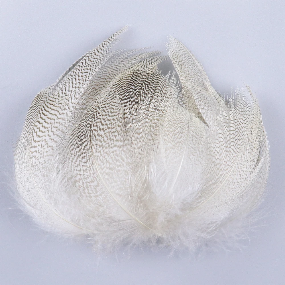 Duck-Feather-50PCS-Black-Stripe-Goose-Plumes-Decoration-For-Crafts ...