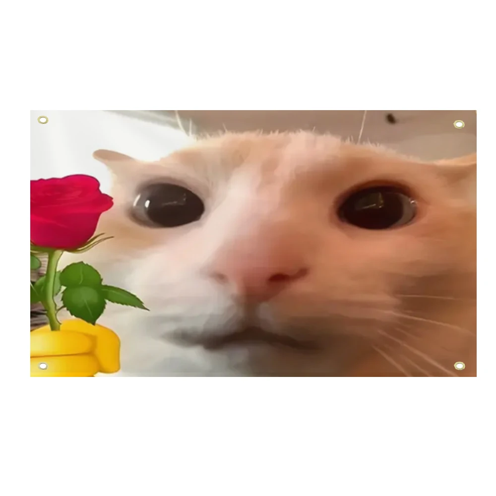 Sc3a67b9d1c8849a898533008443afdf23.jpg