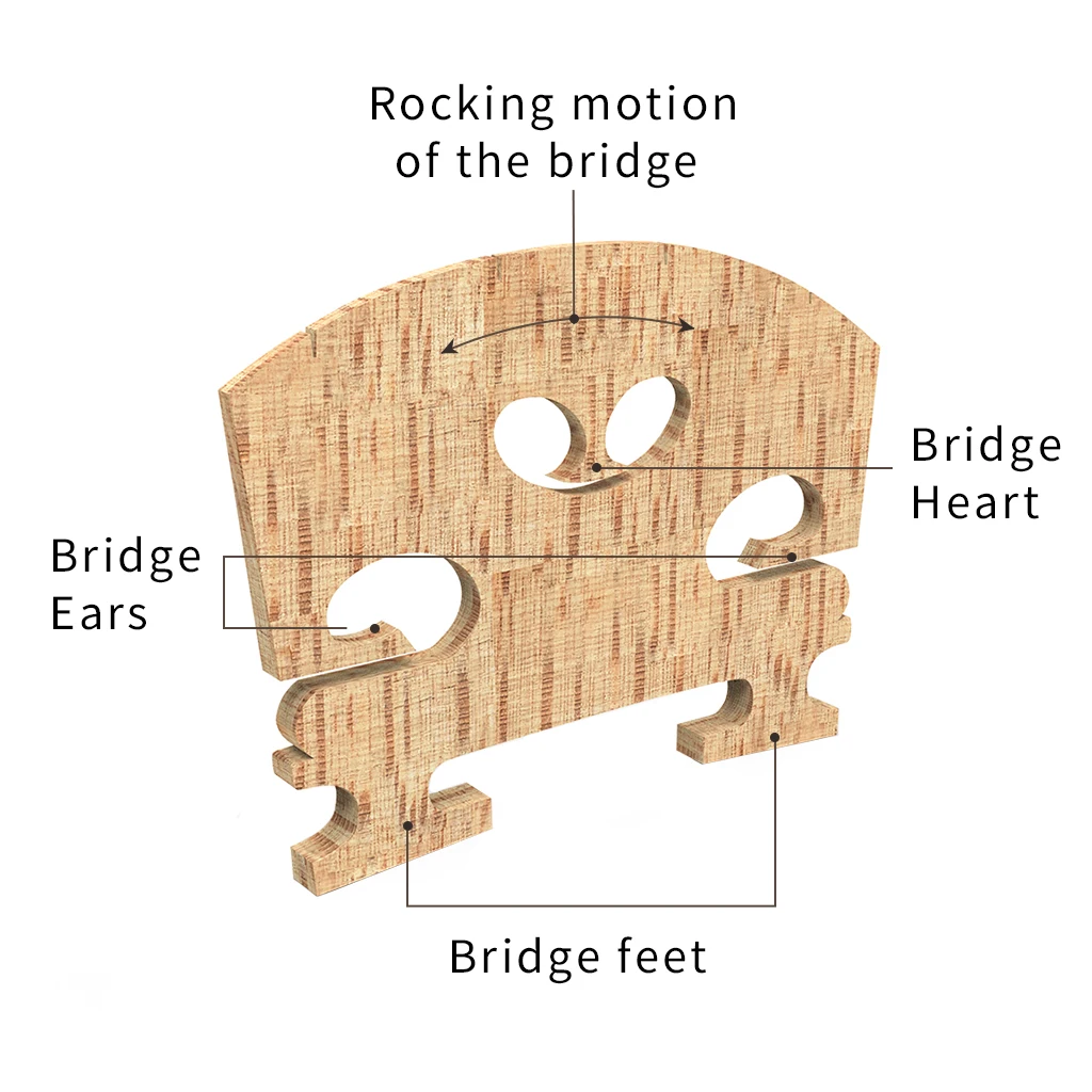 Bausch Violin Bridge