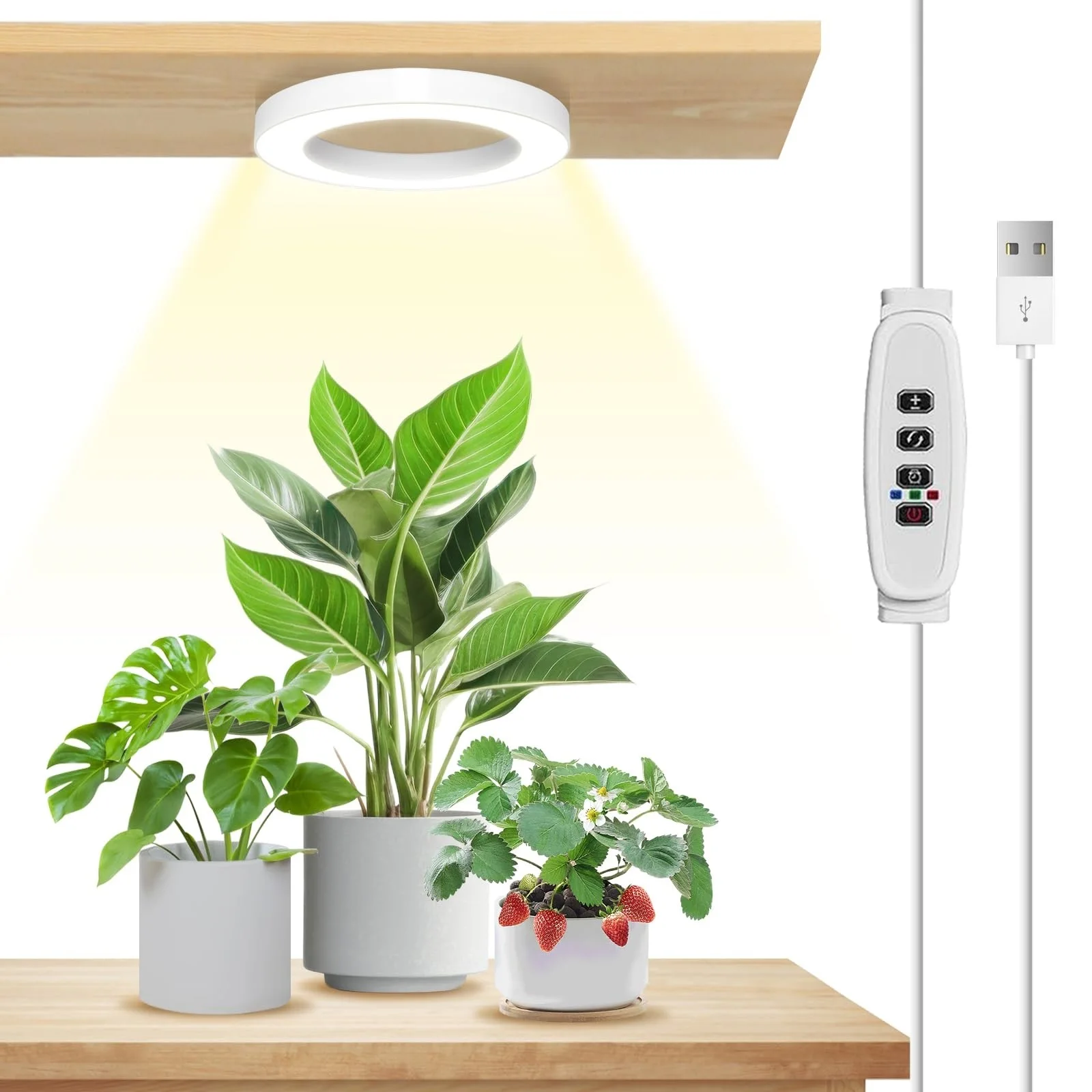 Ceiling-Grow-Light-for-Indoor-Plants-Full-Spectrum-48-72-LEDs-Halo ...