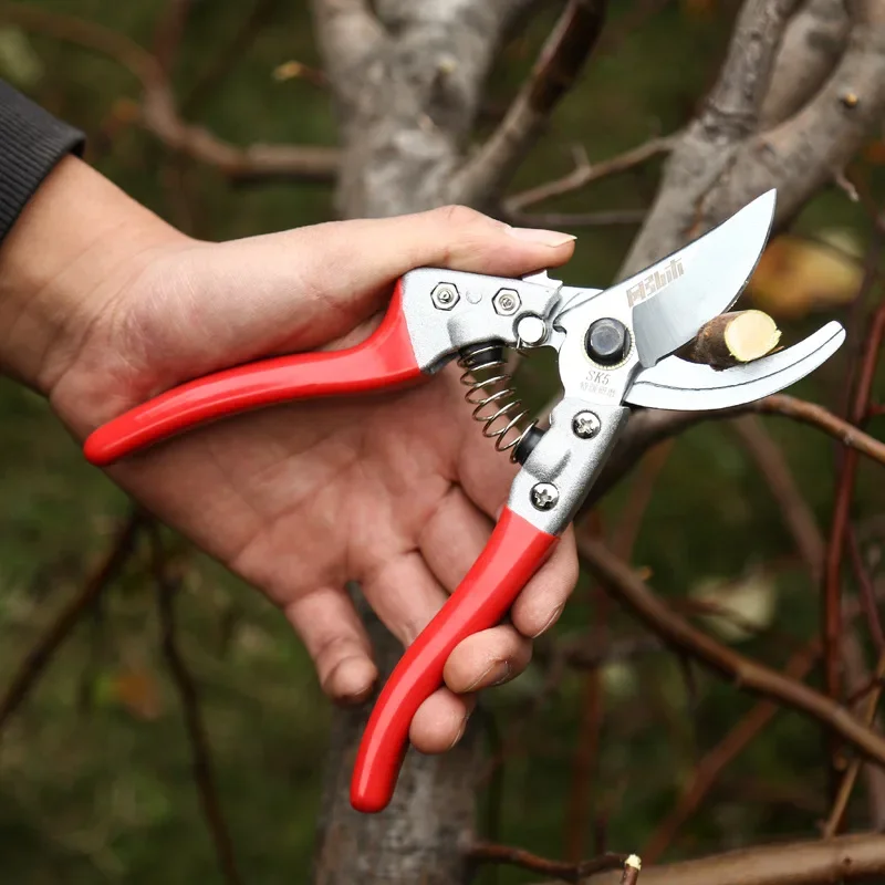 Fruit-Tree-Pruning-Shears-Fruit-Tree-Pruning-Shears-Gardening-Fruit ...
