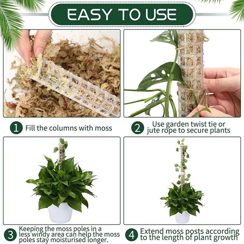 8 Darab Moha Pólus Kókuszdisznó Mohás Egymásra Rakható Növény Tétek ...