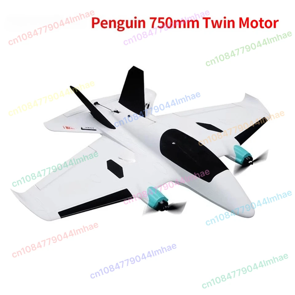 Penguin 750mm Wingspan Fixed Wing Twin Motor FPV Aircraft RC Airplane ...