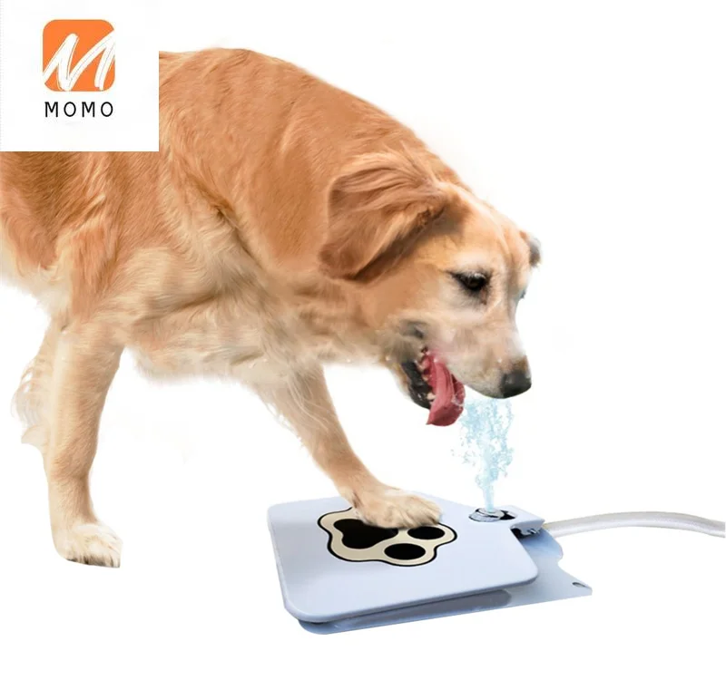 Cool Inventions For Dogs