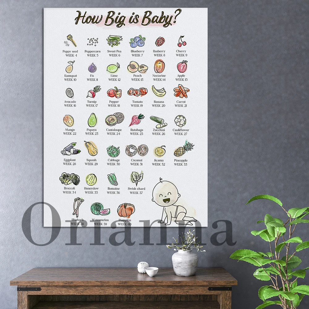 How-Big-Is-Baby-Fruit-Chart-Poster-Pregnancy-Education-Wall-Art-Baby ...