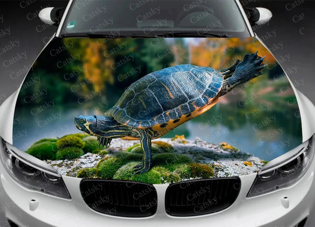 Turtle Car Stickers For Windows