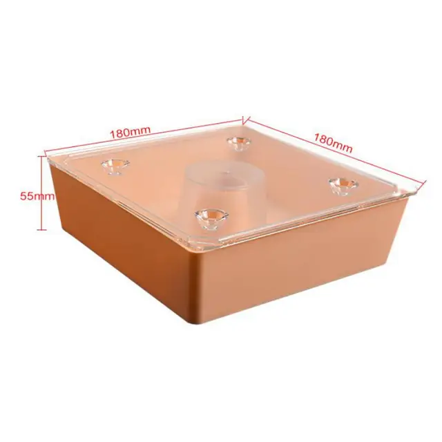 Bee Revival Kit Round Rapid Feeders Hive Top Rapid Bee Feeder White ...