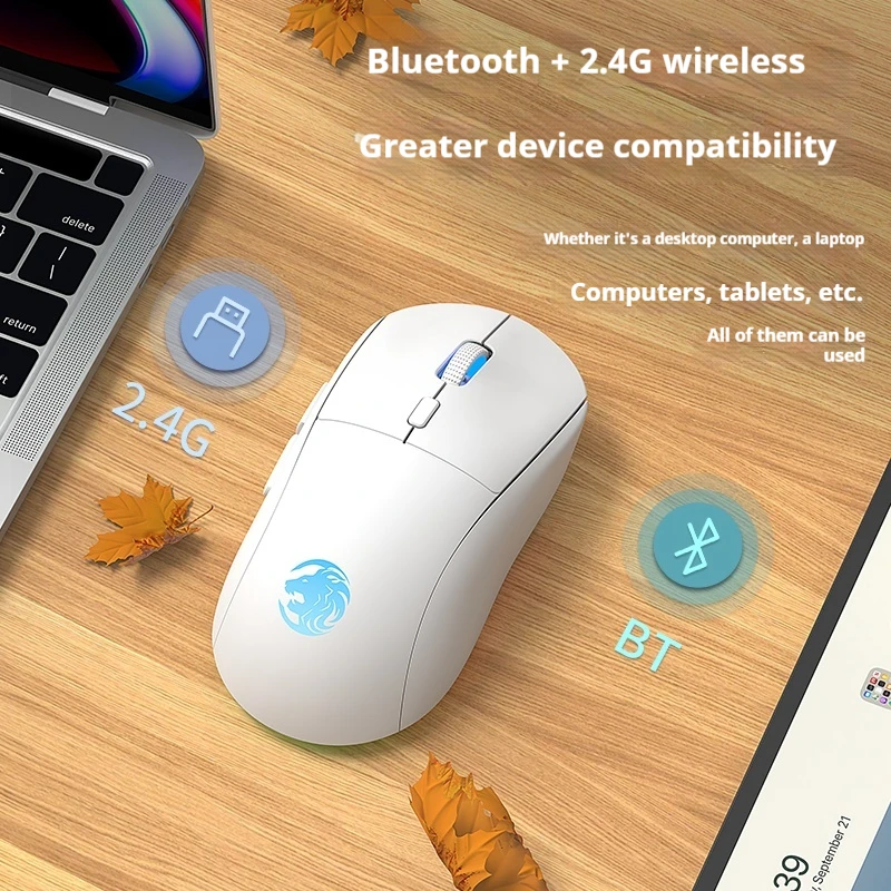 EWEADN G301 Wireless Bluetooth Dual-Mode Gaming Mouse, Rechargeable ...