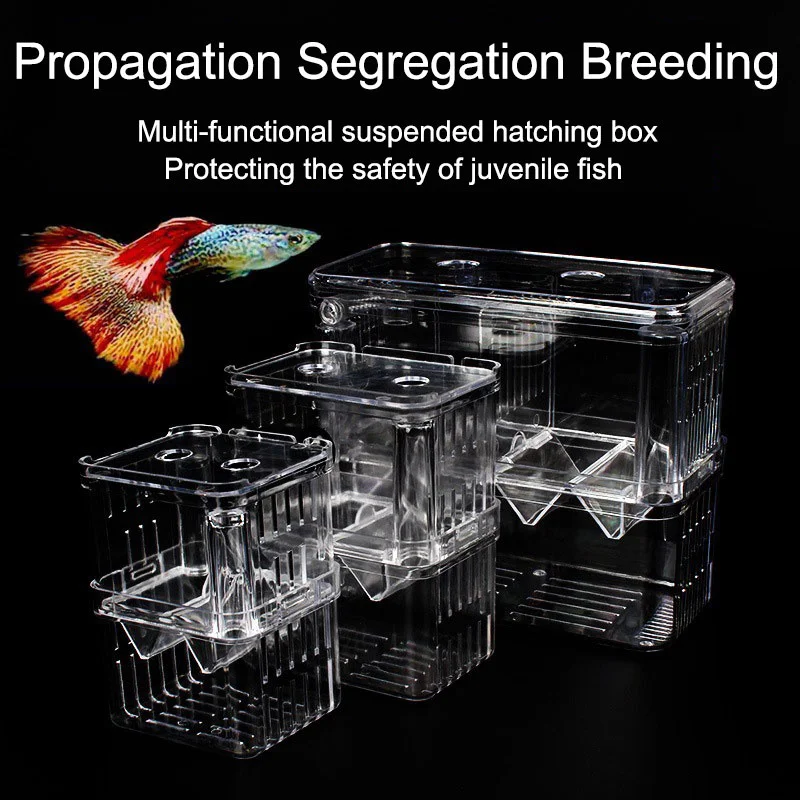 1PCS-Peacock-Fish-Breeding-Box-Fish-Aquarium-Acrylic-Isolation-Box-Fish ...