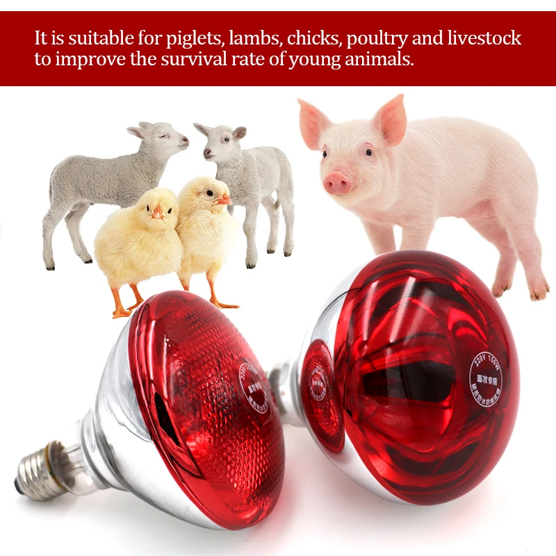 2Pcs-Animal-Thickened-Heating-Lamp-Breeding-Bulb-E27-100W-150W-200W ...