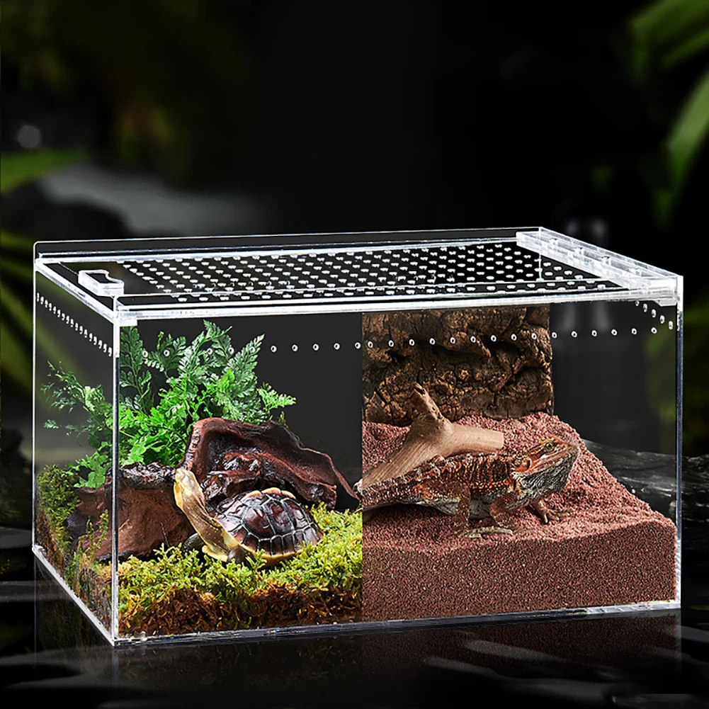 Acr-lico-Insect-Terrarium-para-Home-Rearing-Reptile-Cage-Tarantula ...