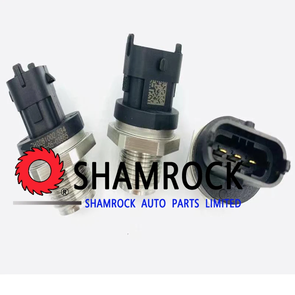 0281002534 0281002796 0281002652 0281002801 Fuel Rail High Pressure ...