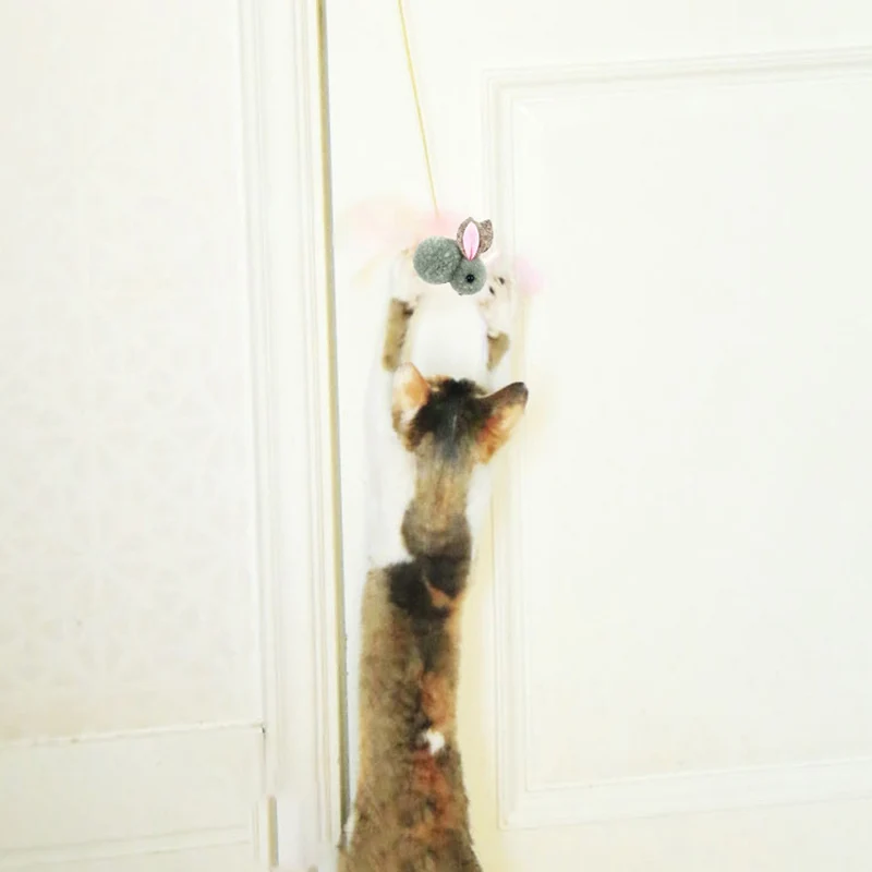 Interactive Door Hanging Cat Toy for Self Play - Life Changing Products