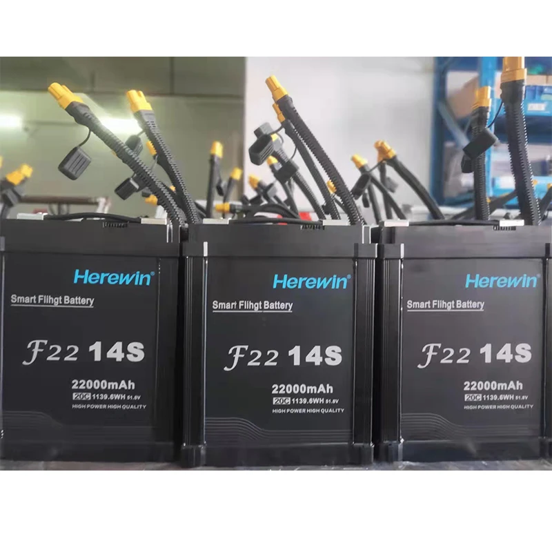 Herewin-51-8V-14S-22000mAh-20C-1139-6WH-Lithium-Polymer-Rechargeable ...