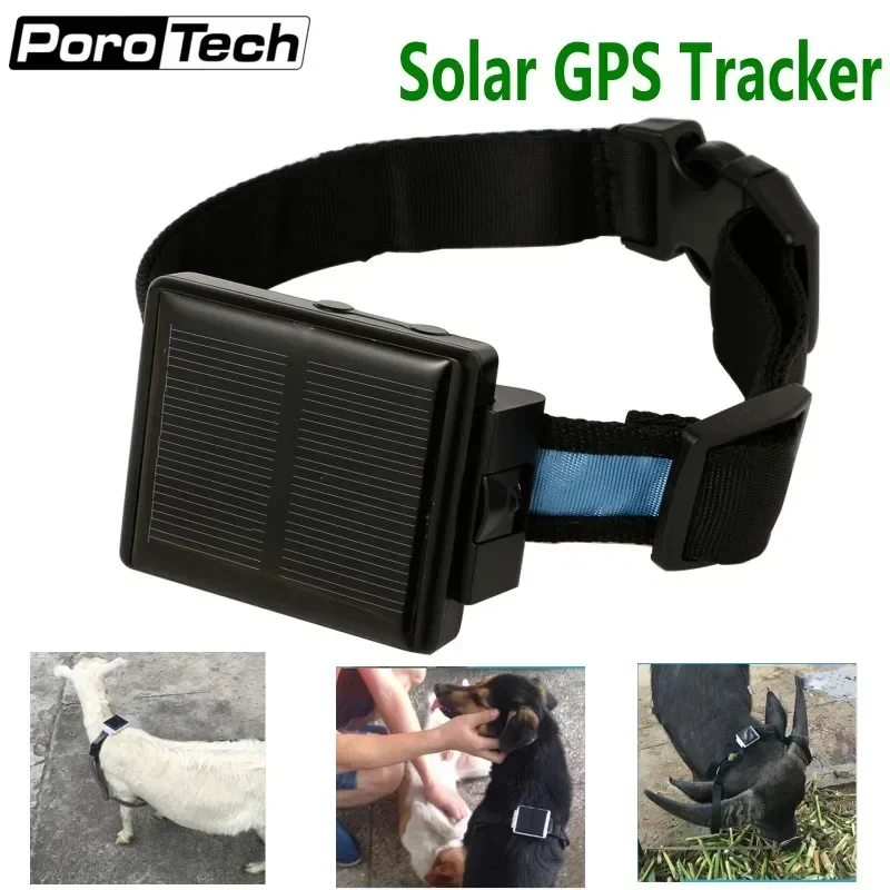 Mini-Solar-Powered-GPS-Tracker-para-animais-de-estima-o-ovelhas-vaca ...