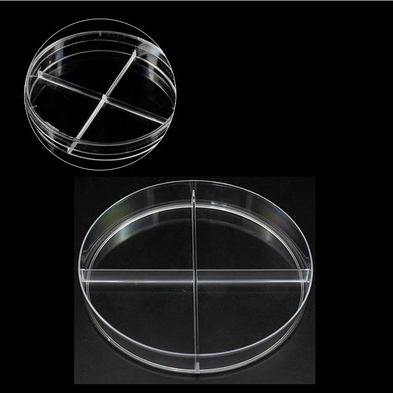 Petri Dish Experiments