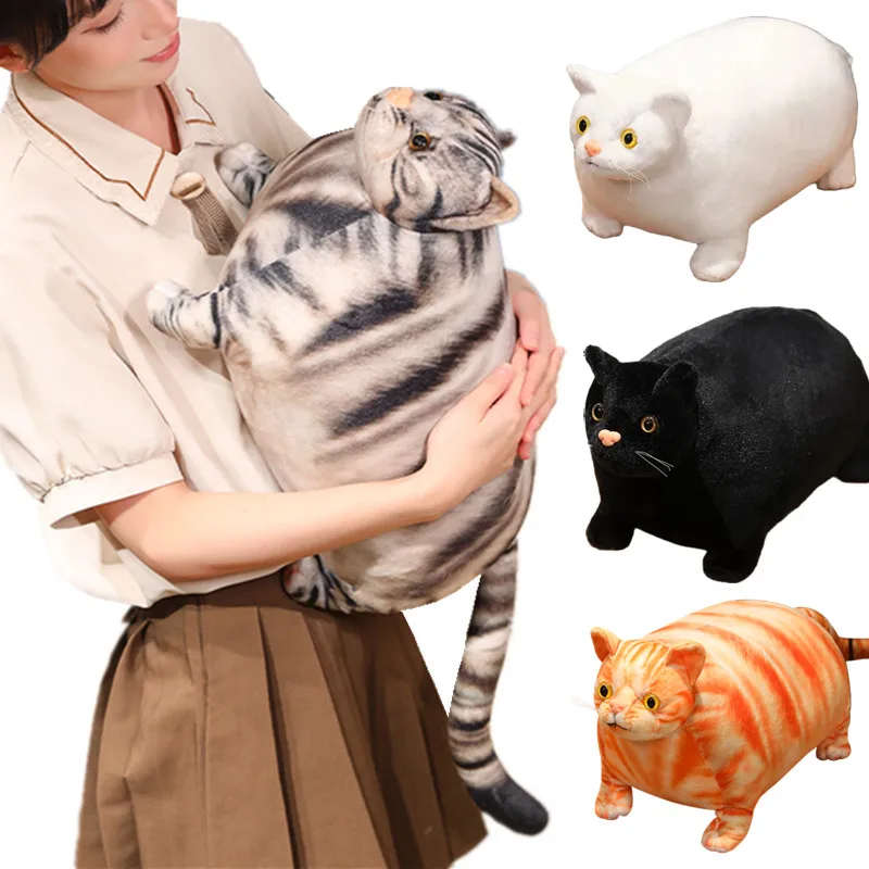 30cm Chubby Fat Cat Plushie 3D Simulation Little Head Big Body Anima ...